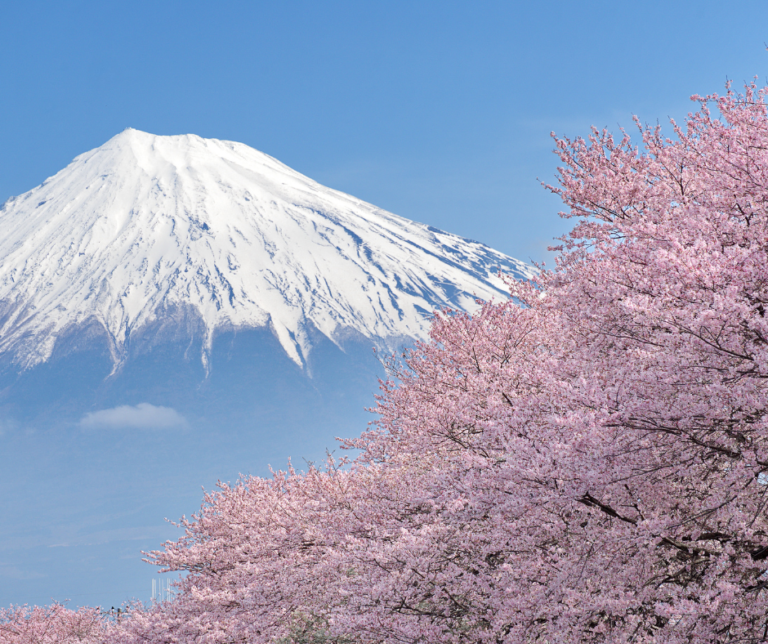 A LENDA DO SAKURA - Cultura japonesa online